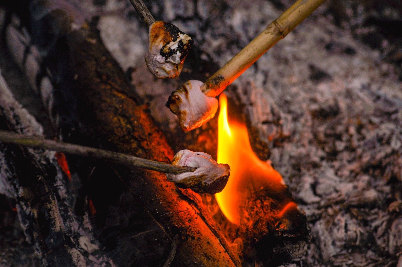 25+ Campfire Recipe Ideas For Your Next Outdoor Adventure - Cabin Critic