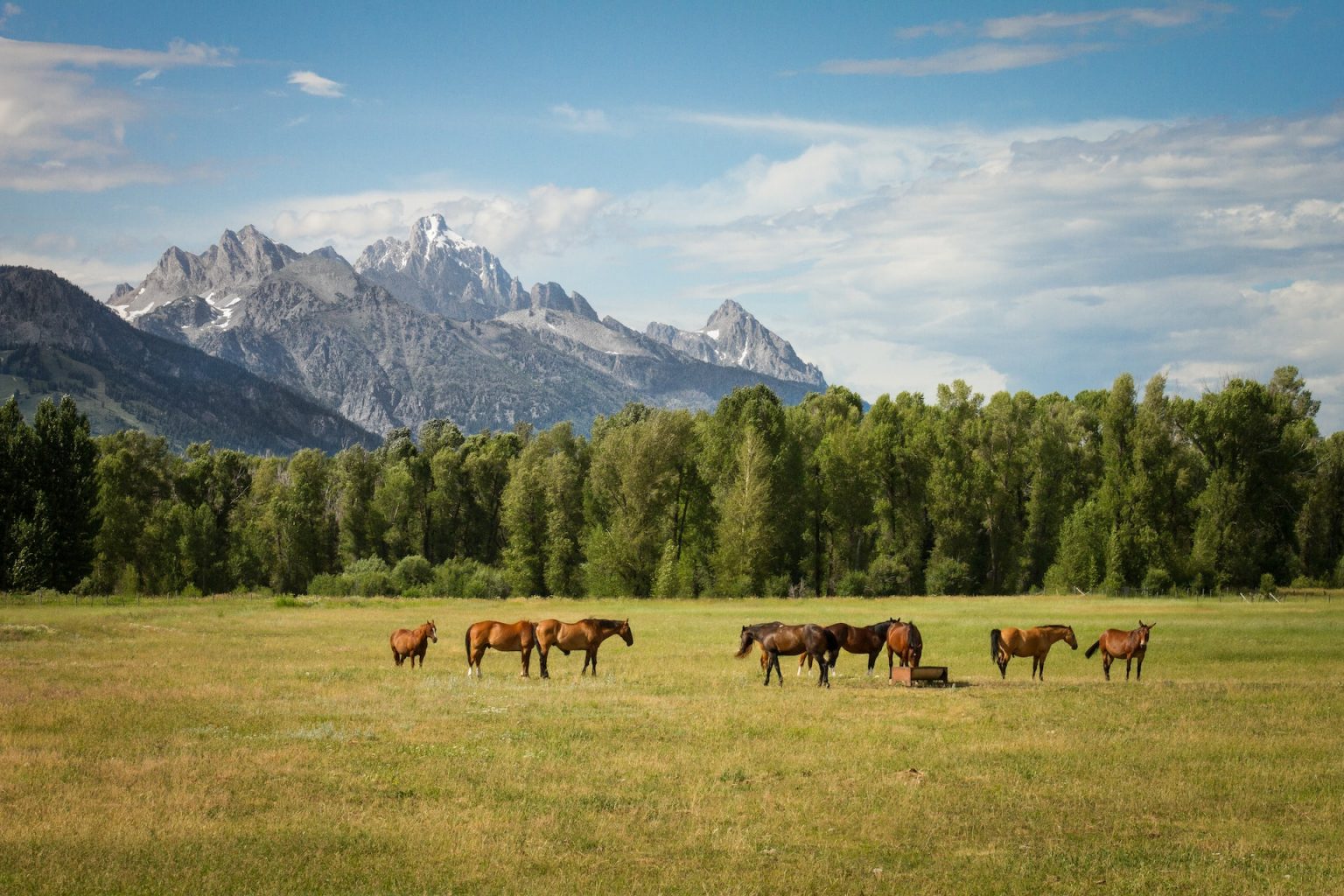 Top 10 Luxury Dude Ranches in Montana - Cabin Critic
